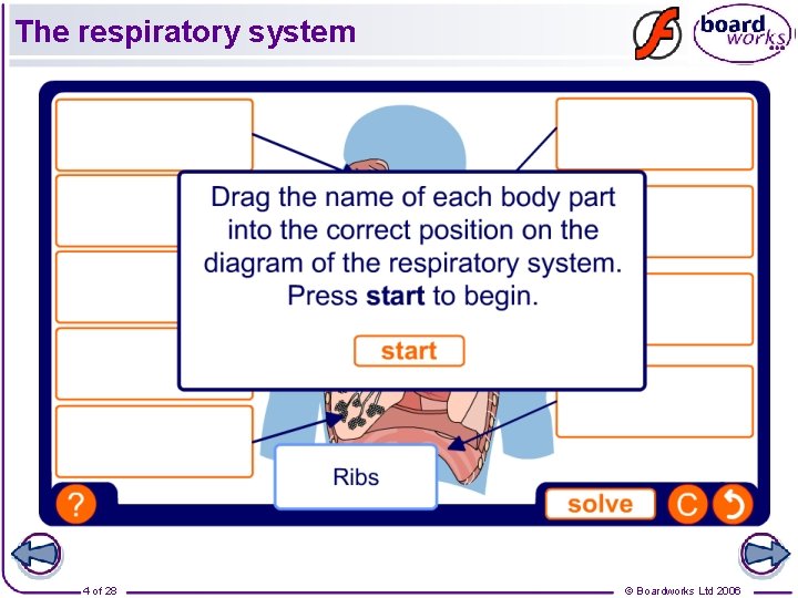 BTEC Sport The Respiratory System These icons indicate