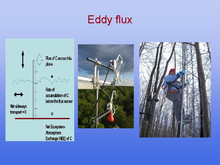 From eddies to the breath of the planet