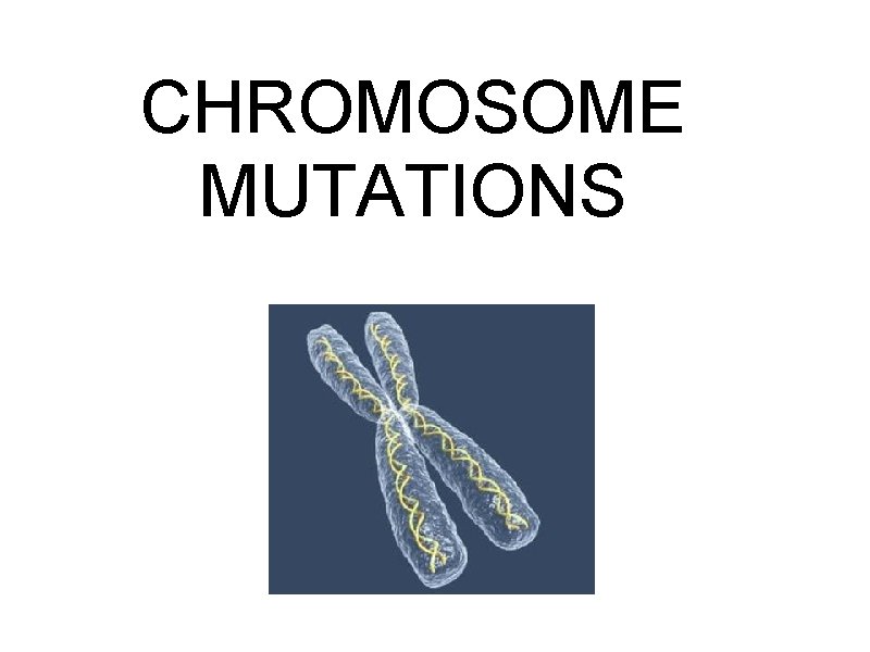 Chapter 12 Chromosomal Abnormalities Figure 12 Bc Figure