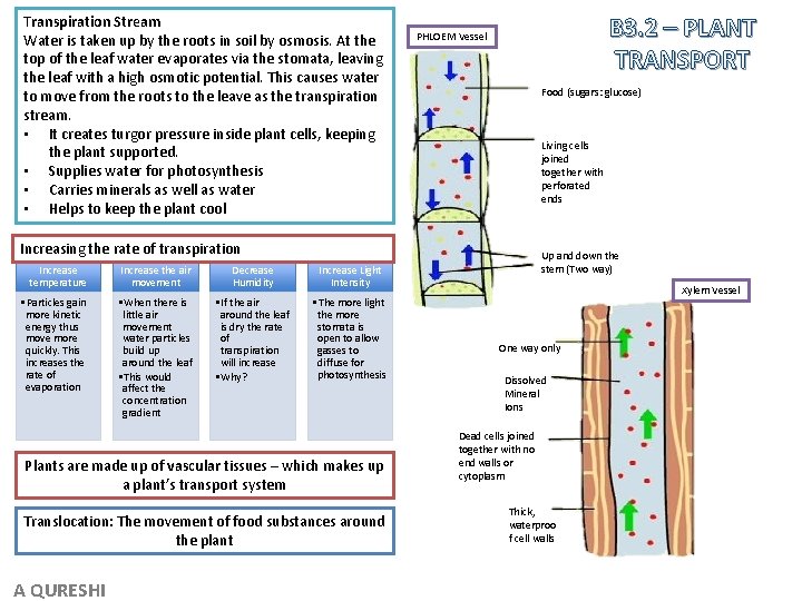 B 3 Revision Power Point AA Guide A