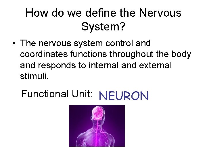 Animation REGULATION in the human body The Nervous