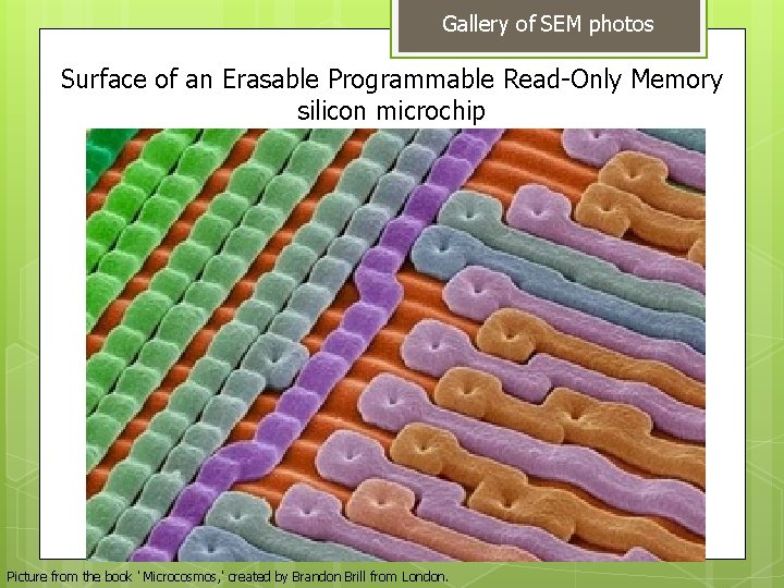 Microscopes One of most important tools of Biology