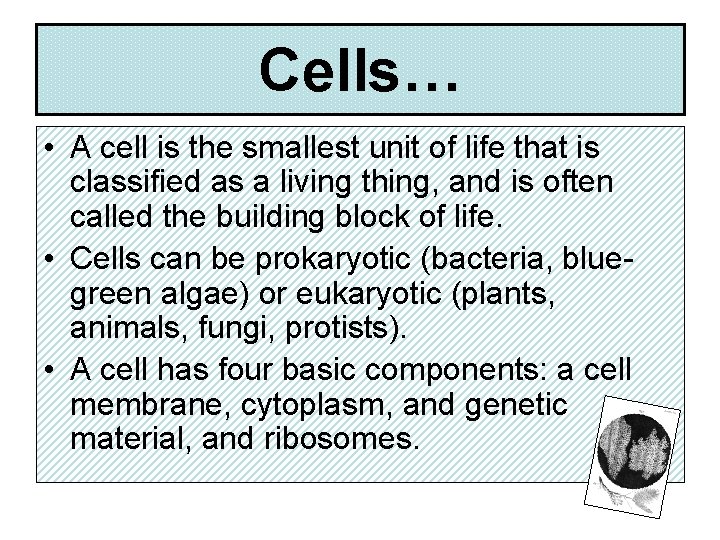 BIOLOGY CST Review Power Point Day 1 Standards