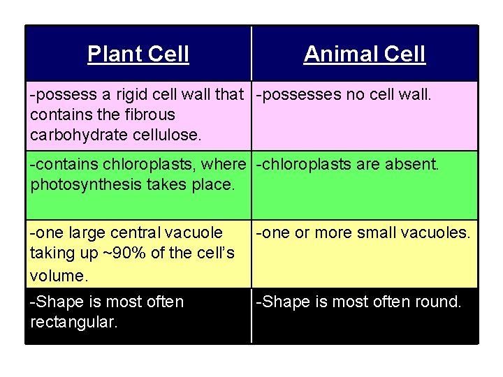 BIOLOGY CST Review Power Point Day 1 Standards