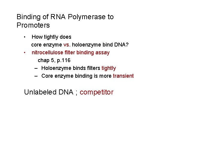Chapter 6 The mechanism of transcription in bacteria