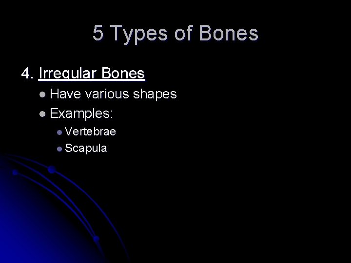General Anatomy Bones Approximately 206 bones in adult