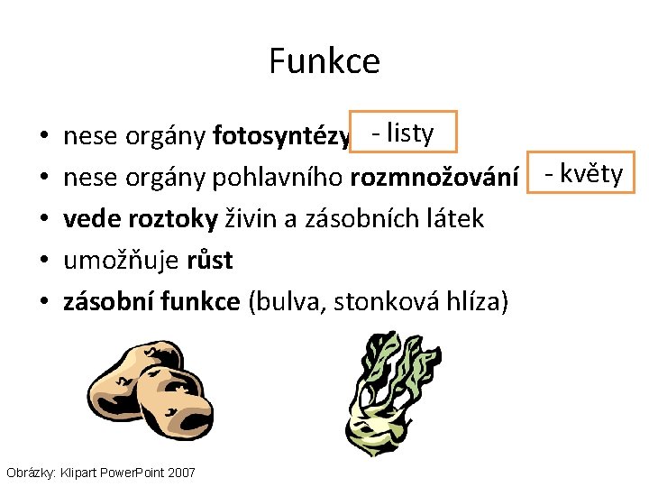 Stonek Stavba rostlinnho tla vypracovala Mgr Monika trejbarov