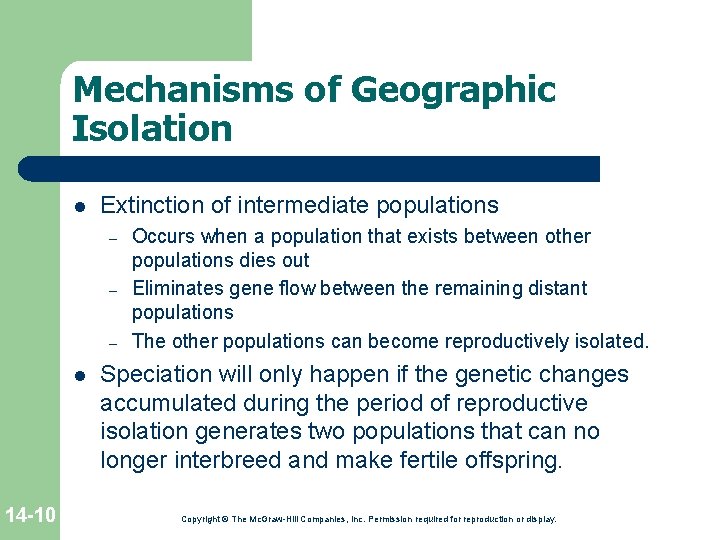 Chapter 14 Lecture Outline 14 1 Evolutionary Patterns
