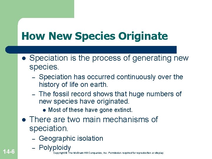 Chapter 14 Lecture Outline 14 1 Evolutionary Patterns