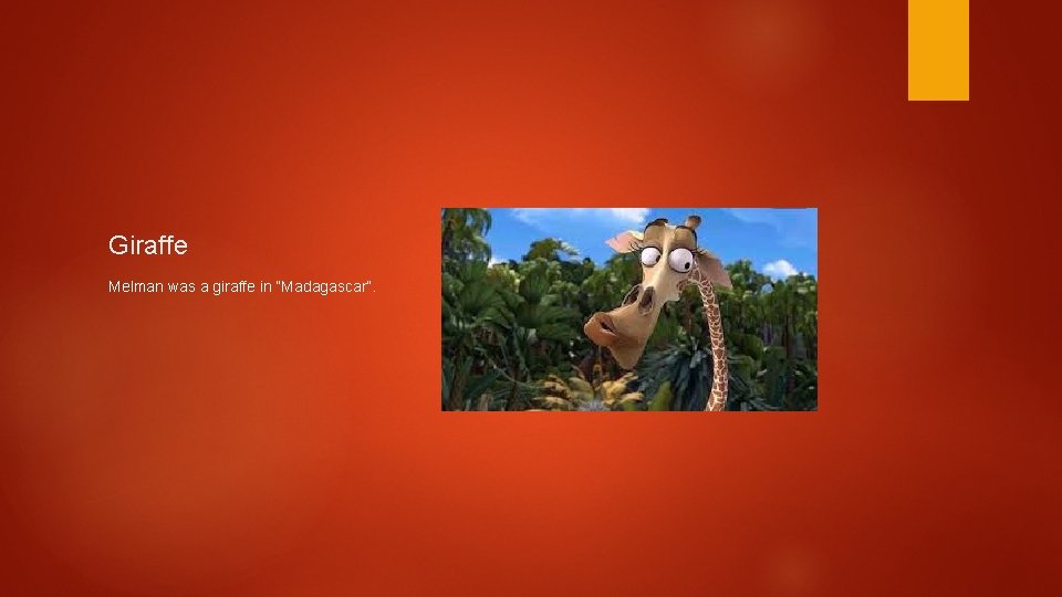 Horse Giraffe Skunk Donkey Dog Hippopotamus Shark Chameleon