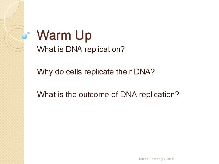 Warm Up What is DNA replication Why do