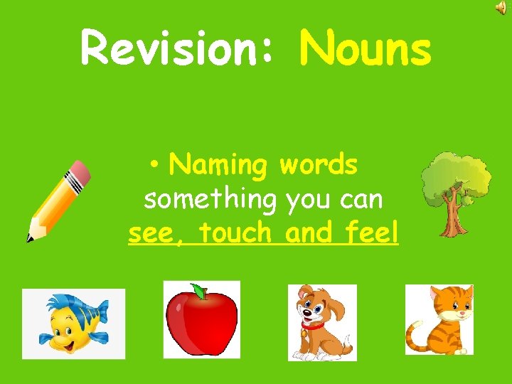 Revision Nouns Naming words something you can see
