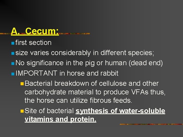 A Reticulum Tough honeycomb like structure puncture resistant