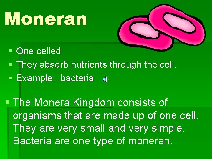 5 Kingdoms Moneran One celled They absorb nutrients