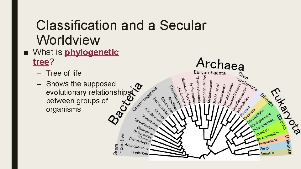 CHAPTER 11 BUNITY AND DIVERSITY How is classification