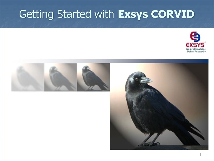 Getting Started with Exsys CORVID 1 CORVID Environment