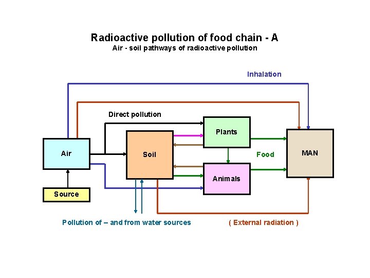 Radioactive pollution of food chain Air soil pathways