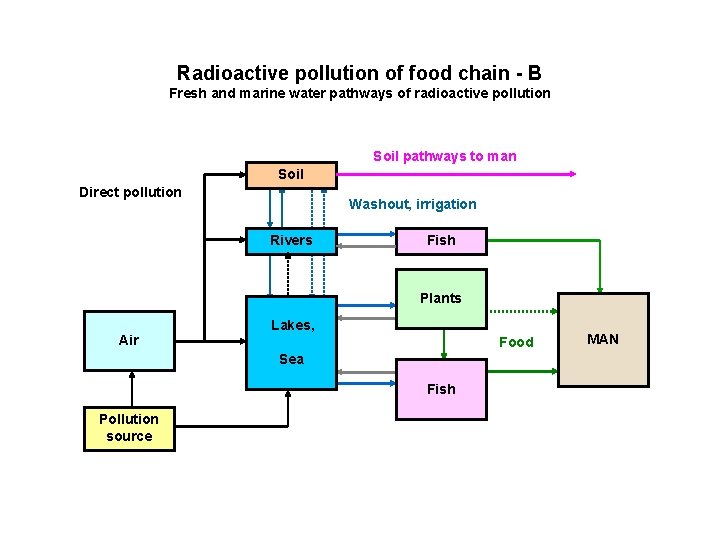 Radioactive pollution of food chain Air soil pathways