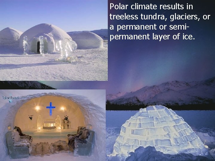 Polar regions Cool temperate latitudes Subtropics Tropical and