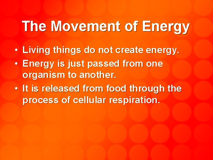Lesson 4 continued Energy Flow in Ecosystems Energy
