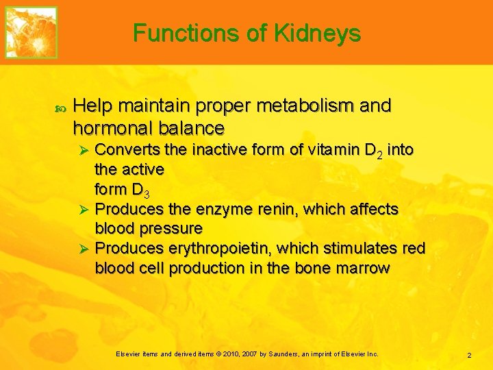 Chapter 9 Renal Disease Functions of Kidneys Help