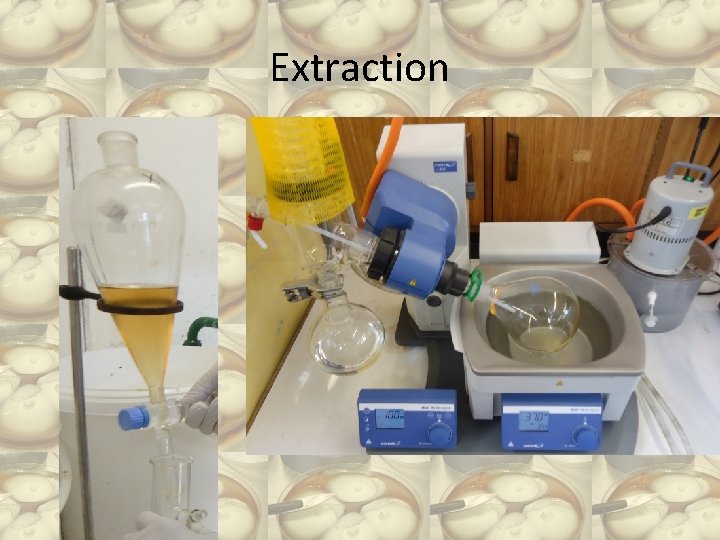 Reconstruction of the tropolone biosynthetic pathway in Aspergillus