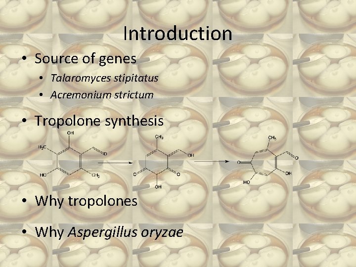 Reconstruction of the tropolone biosynthetic pathway in Aspergillus