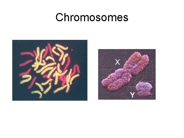 4 B Typical Parts of Cells 1 Basic