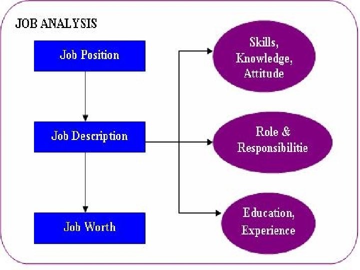 Human Resource Management JOB ANALYSIS PRESENTED BY Prof