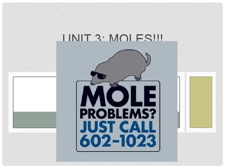 UNIT 3 MOLES WHAT IS A MOLE How