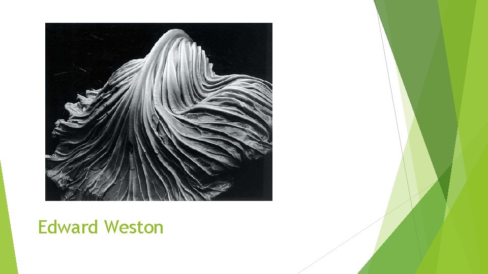 Edward Weston BY Whitney Nemelka Media 175 Principles