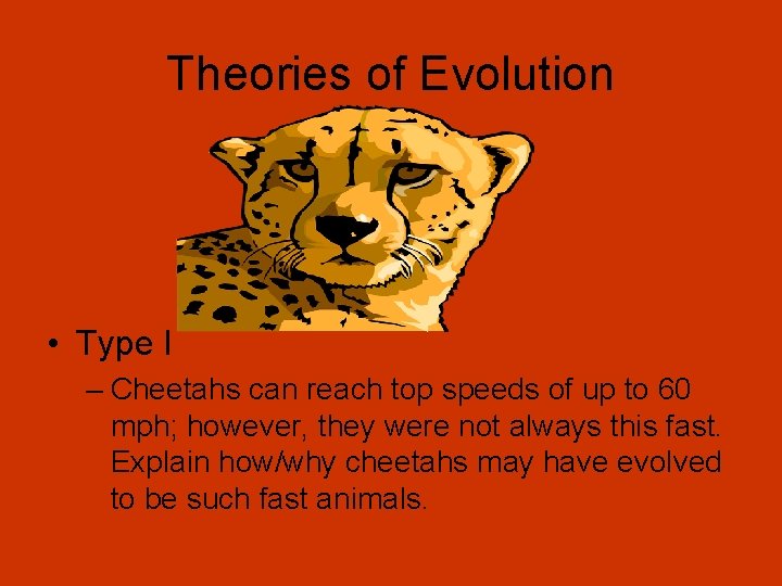 Theories of Evolution Type I Cheetahs can reach
