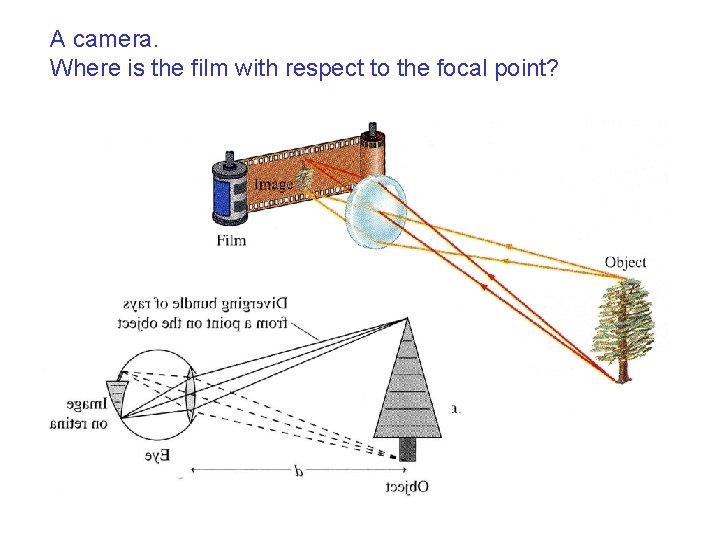 A camera Where is the film with respect