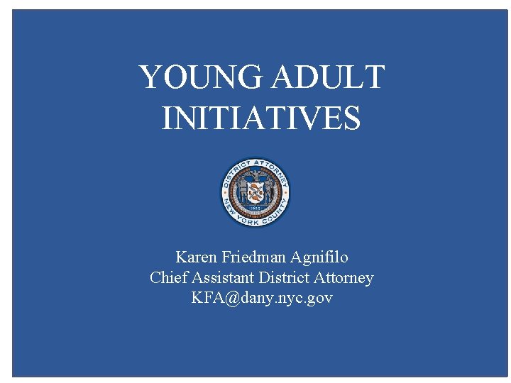 YOUNG ADULT INITIATIVES Karen Friedman Agnifilo Chief Assistant