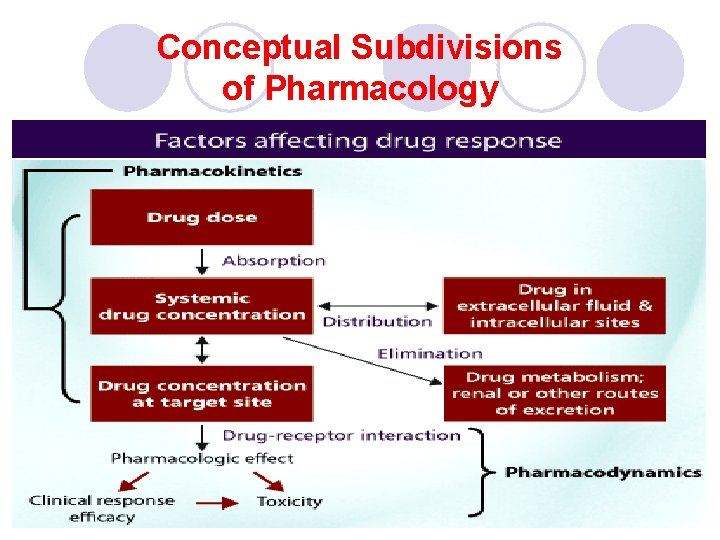 Conceptual Subdivisions of Pharmacology Jamaluddin Shaikh Ph D
