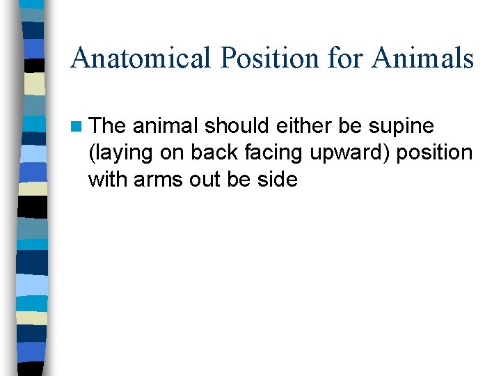 Animal Kingdom What is an animal n Obtain