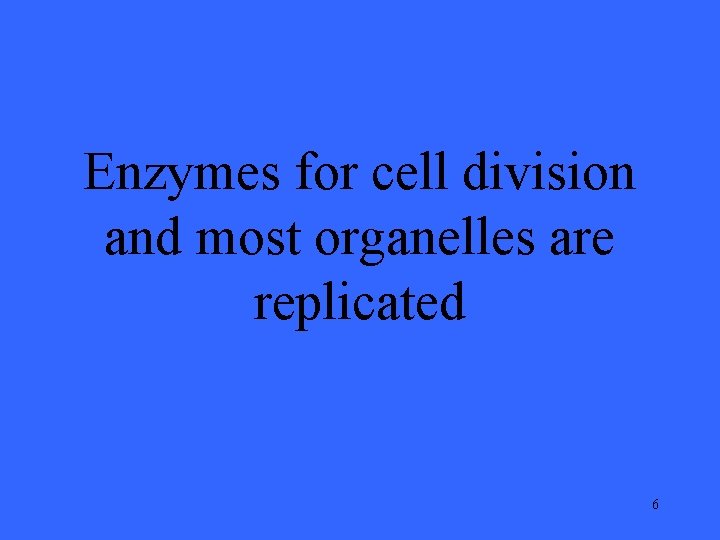 Cell Cycle Mitosis Meiosis Chromosomesz Misc 5 pt