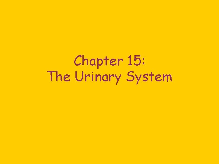 Chapter 15 The Urinary System Functions Elimination of