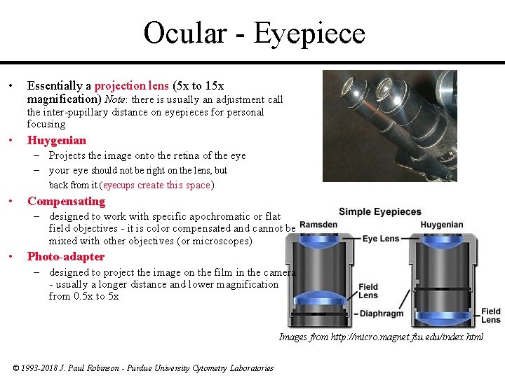 BMS 524 Introduction to Confocal Microscopy and Image