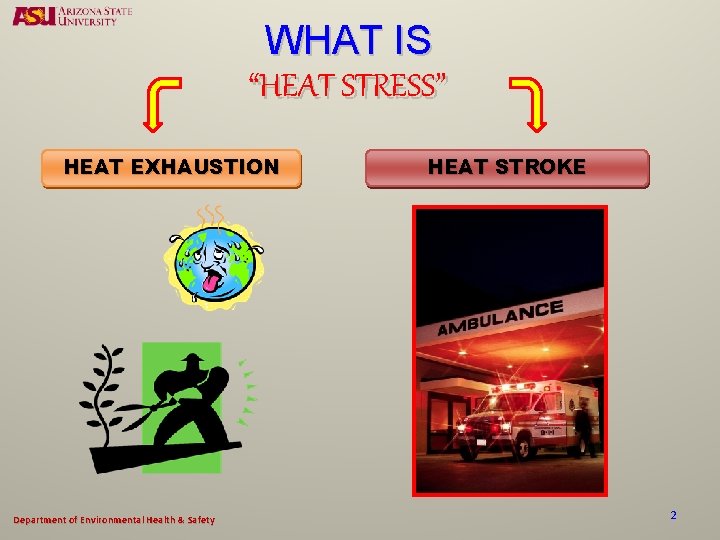 FIGHTING HEAT STRESS Department of Environmental Health Safety