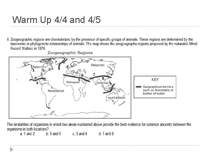 Warm Up 44 and 45 Ecosystem Interactions Cut