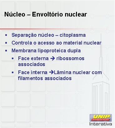 Unidade II BIOLOGIA HISTOLOGIA E EMBRIOLOGIA Profa Eleonora