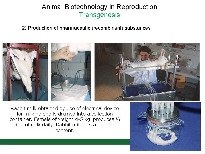 Biotechnological methods in animal production Peter Chrenek chrenekpvuzv