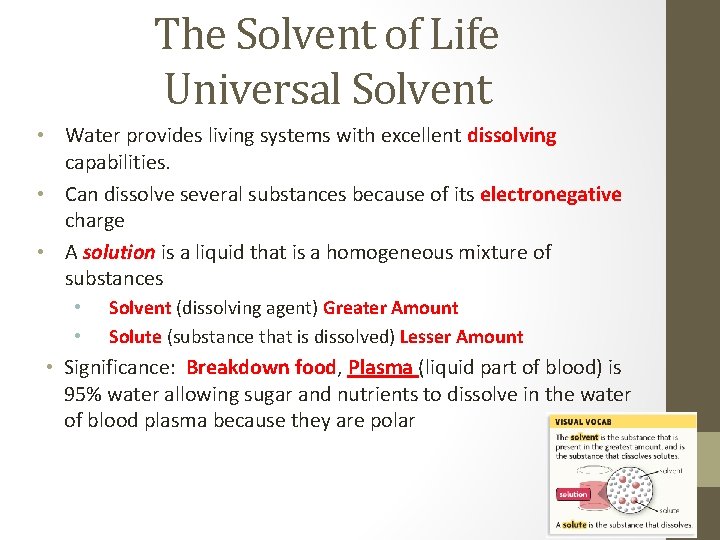Life depends on hydrogen bonds in water Water