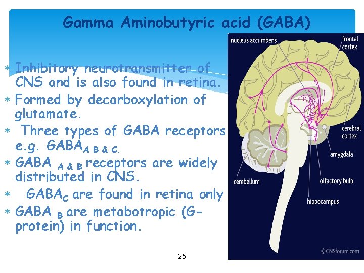 Brain Neurotransmitters Chemical substances released by electrical impulses