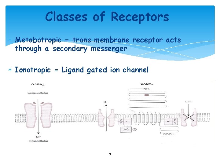 Brain Neurotransmitters Chemical substances released by electrical impulses
