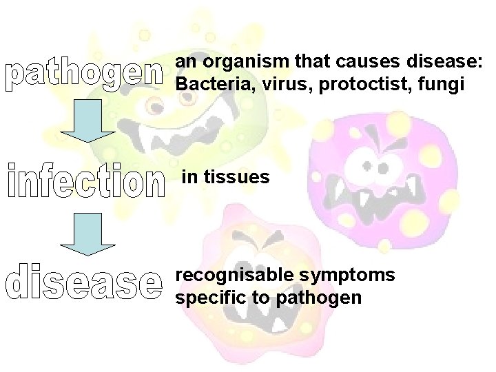 immunology an organism that causes disease Bacteria virus