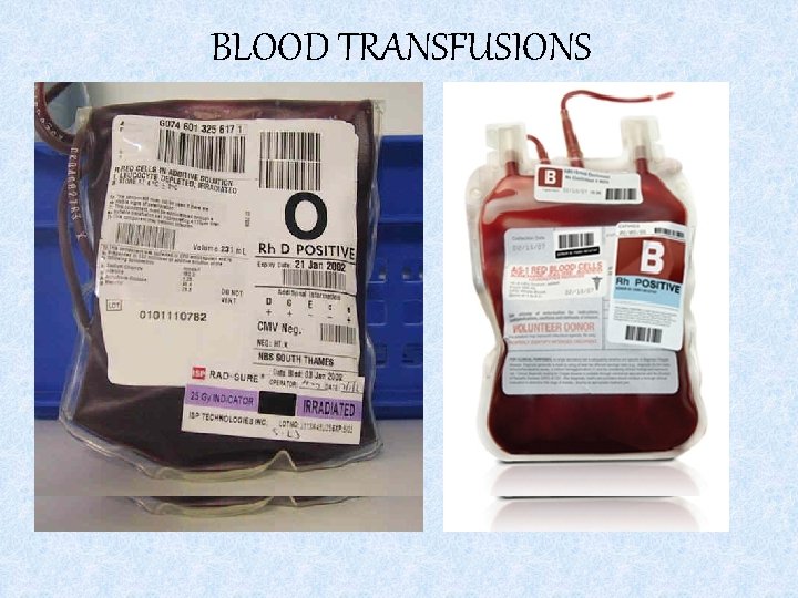 immunology an organism that causes disease Bacteria virus