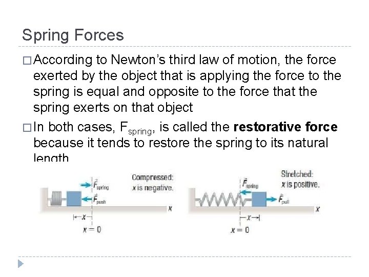 Elastic Potential Energy Pg 192 196 Spring Forces