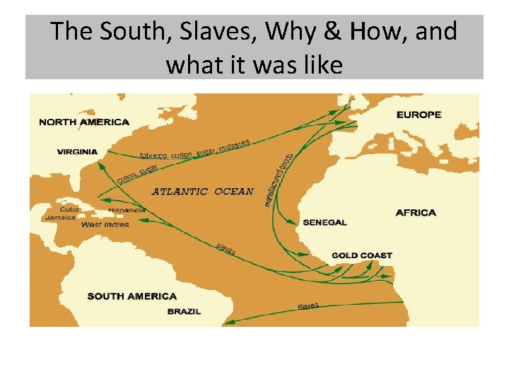 The South Slaves Why How and what it